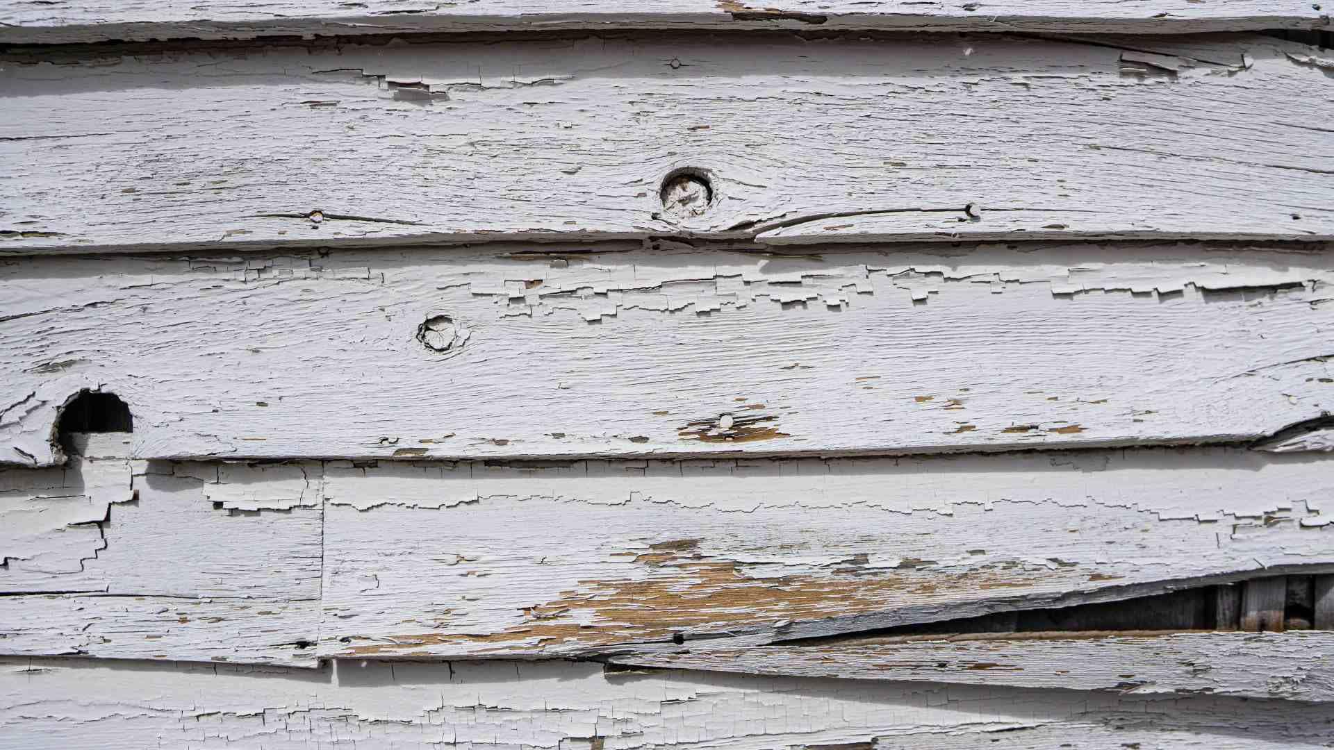 Expert Siding Contractors Servicing Maryland & Virginia